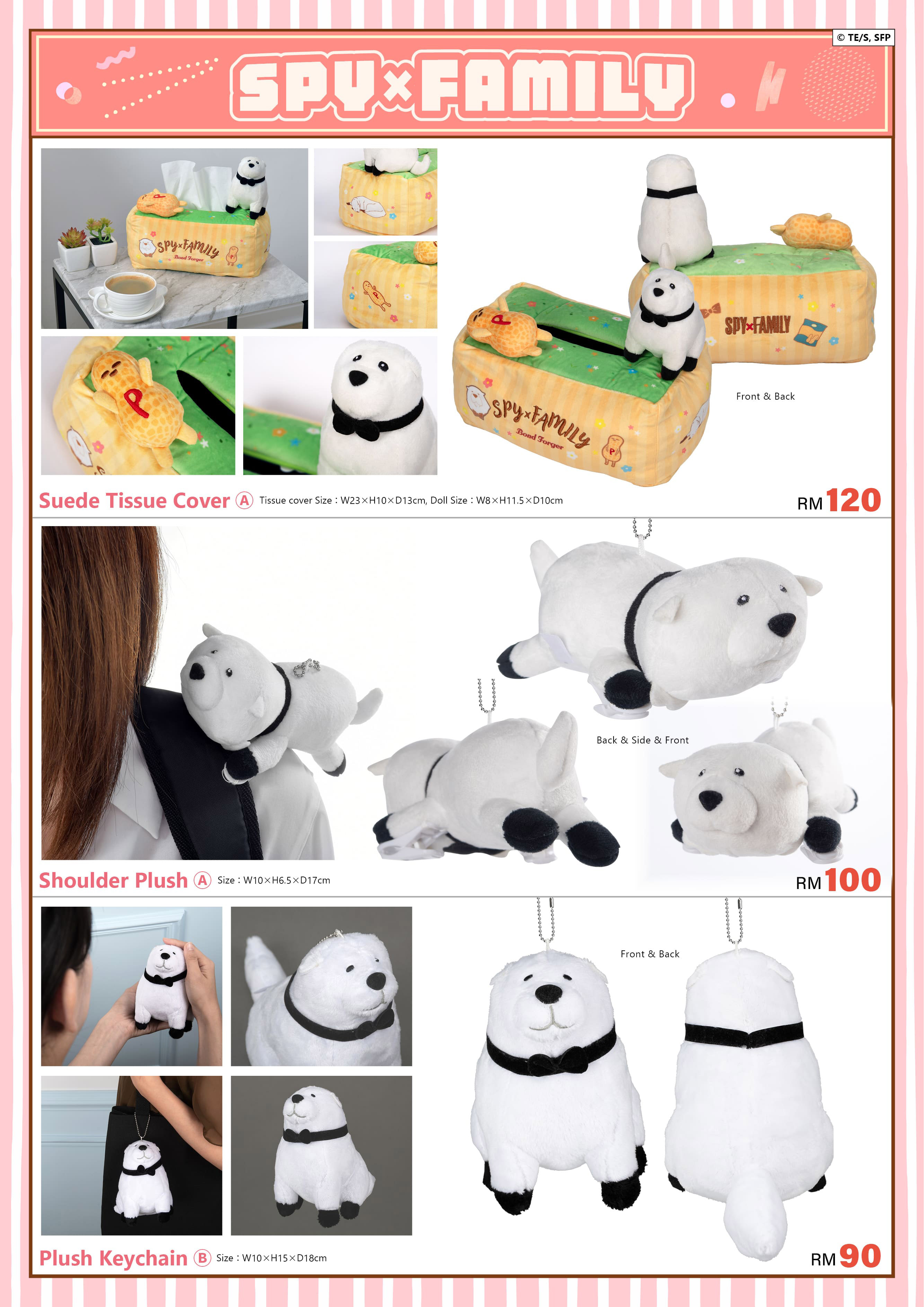 Exclusive Muse Merchandise at 2025 COMIC FIESTA - EMUSE
